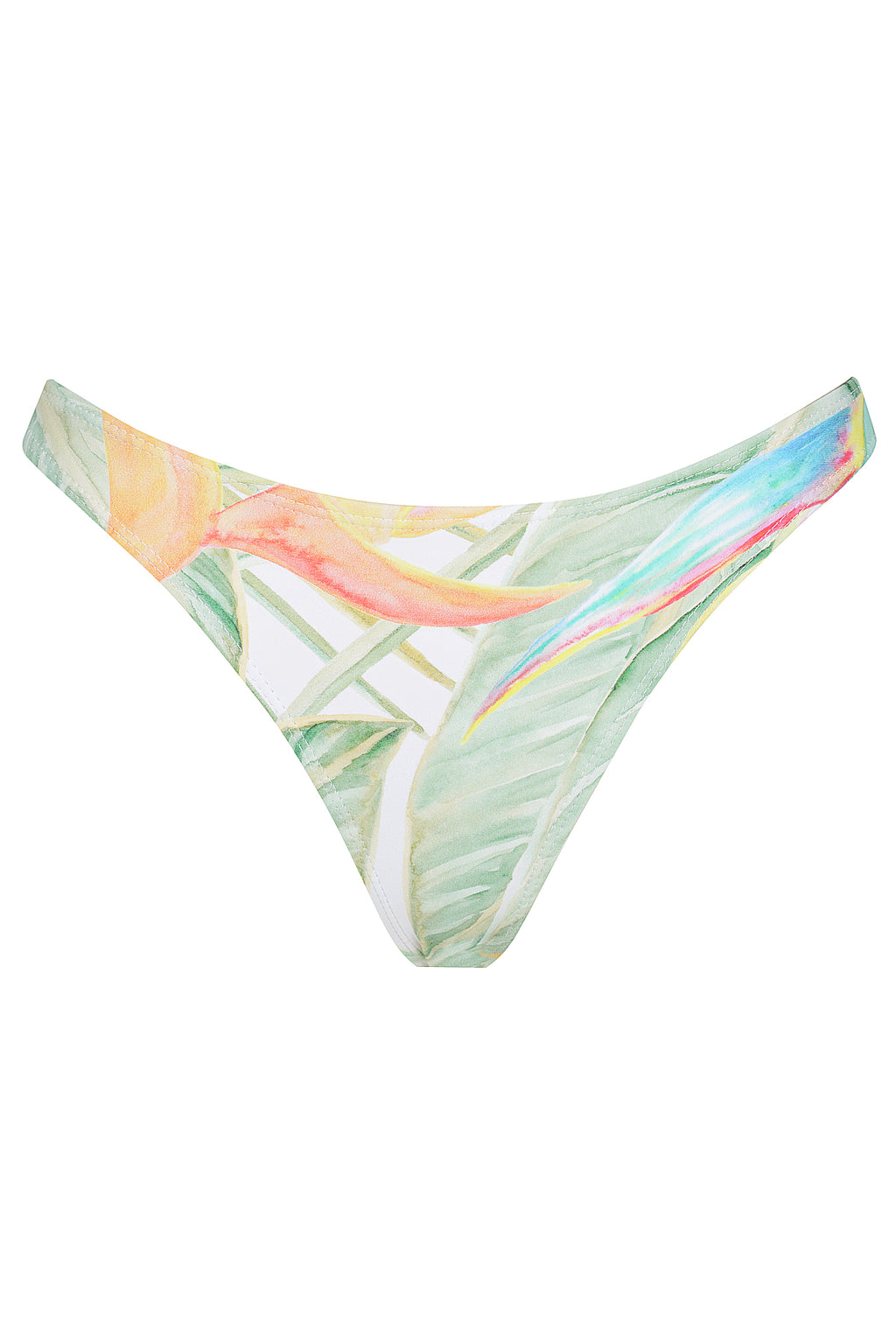 Paradise Curve Brief – CHARLIE MAE
